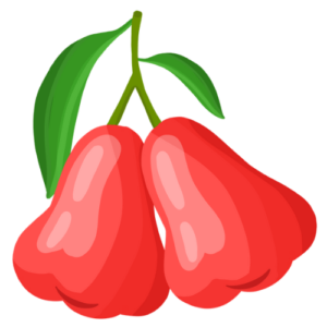 10 ผลไม้ที่อร่อยและมีประโยชน์ – ThaiSook : ไทยสุข