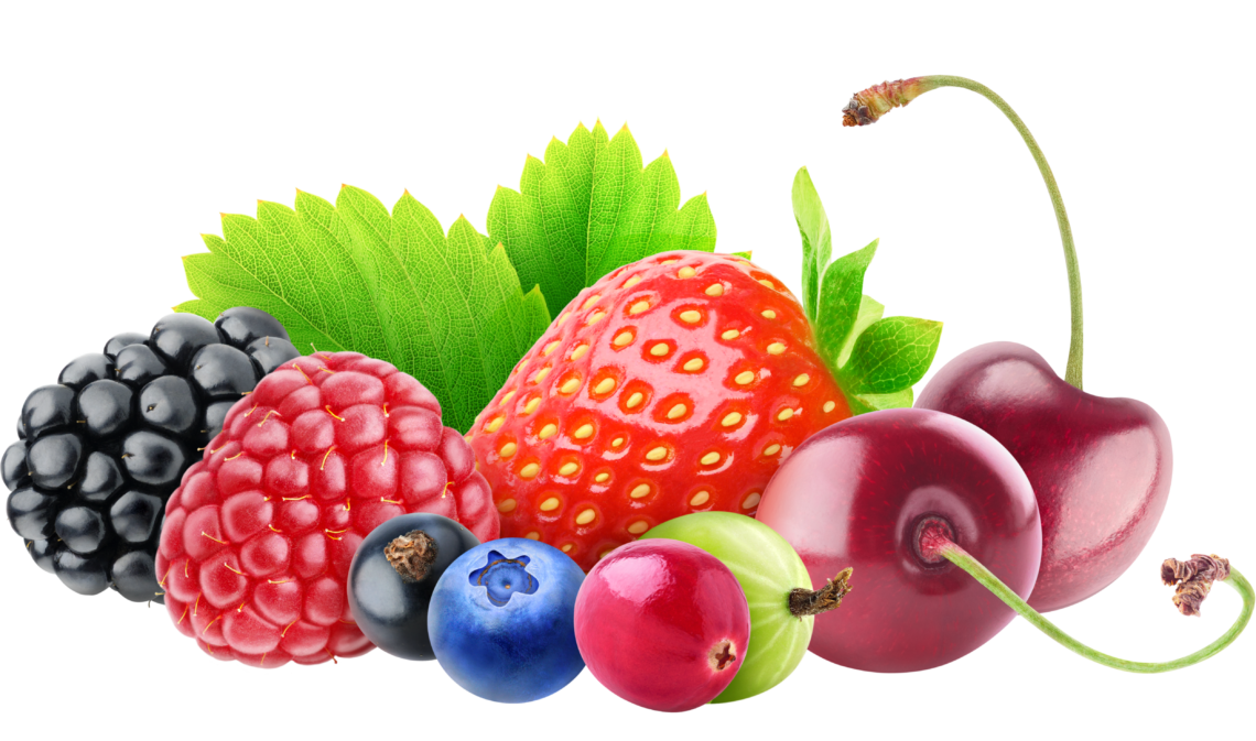 สารอาหารที่สำคัญในผลไม้ – กินผลไม้แล้วอ้วนไหม – ThaiSook : ไทยสุข