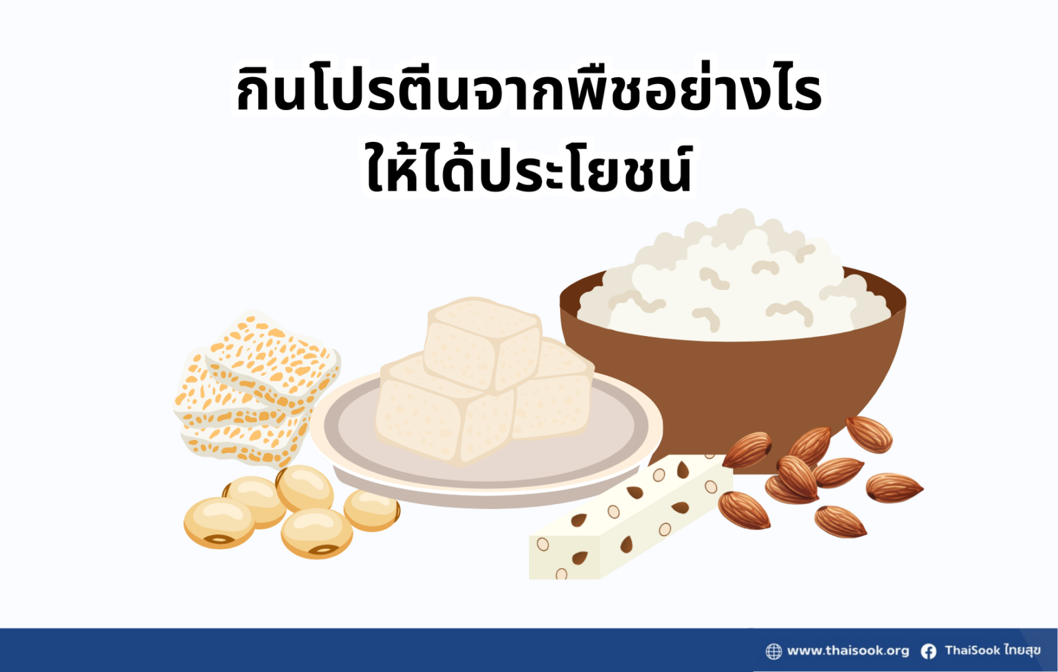 เพิ่มกล้ามเนื้อ ต้องกินโปรตีนเท่าไหร่ต่อวัน? ThaiSook